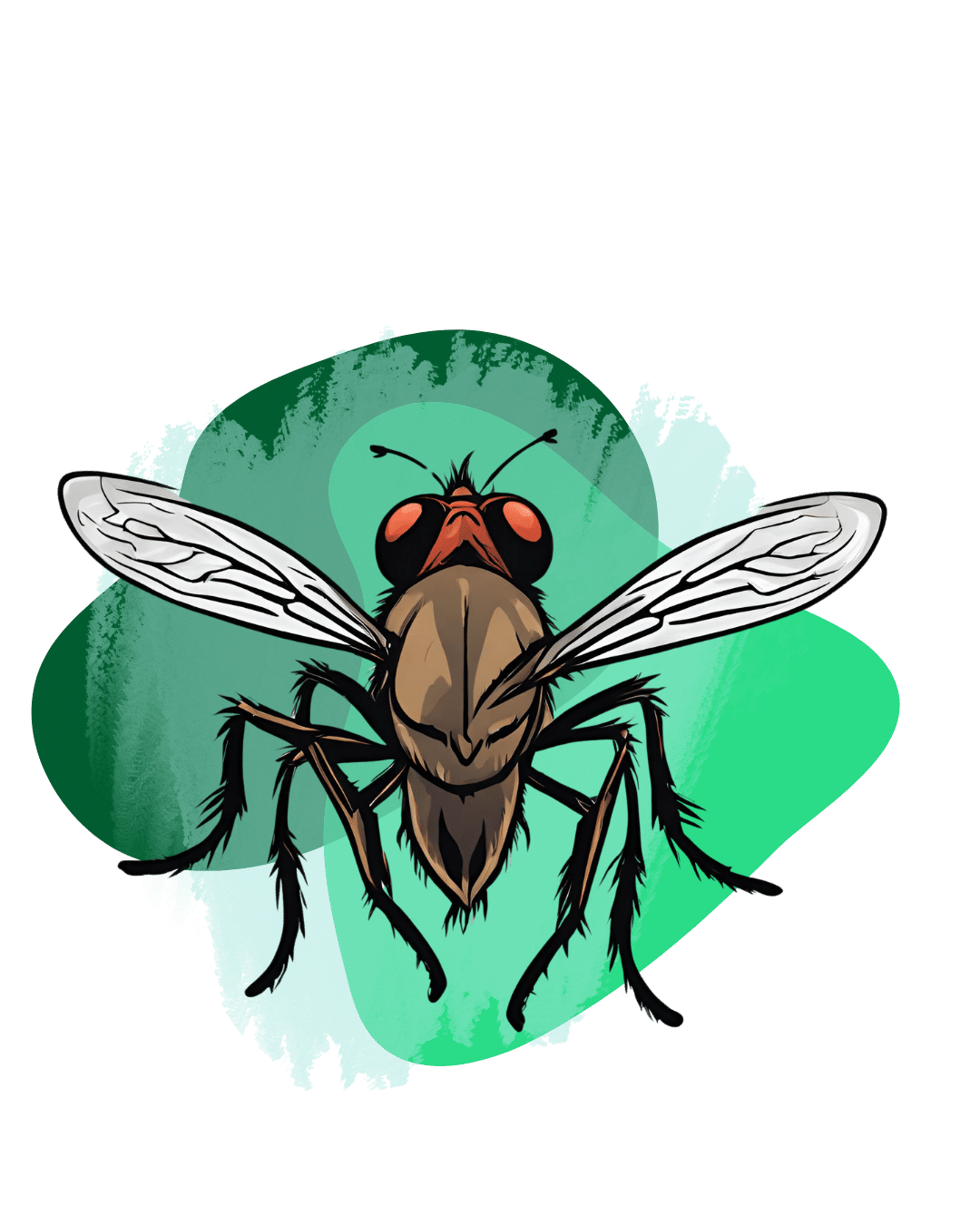 Flies Control Philadelphia | Natural Pest